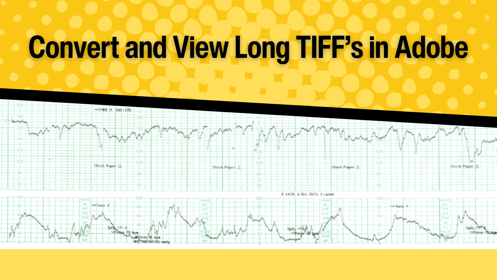 NeuraView How-To: 7 Easy Step to Convert Long TIFF Image to PDF Format and Open it Horizontally ...